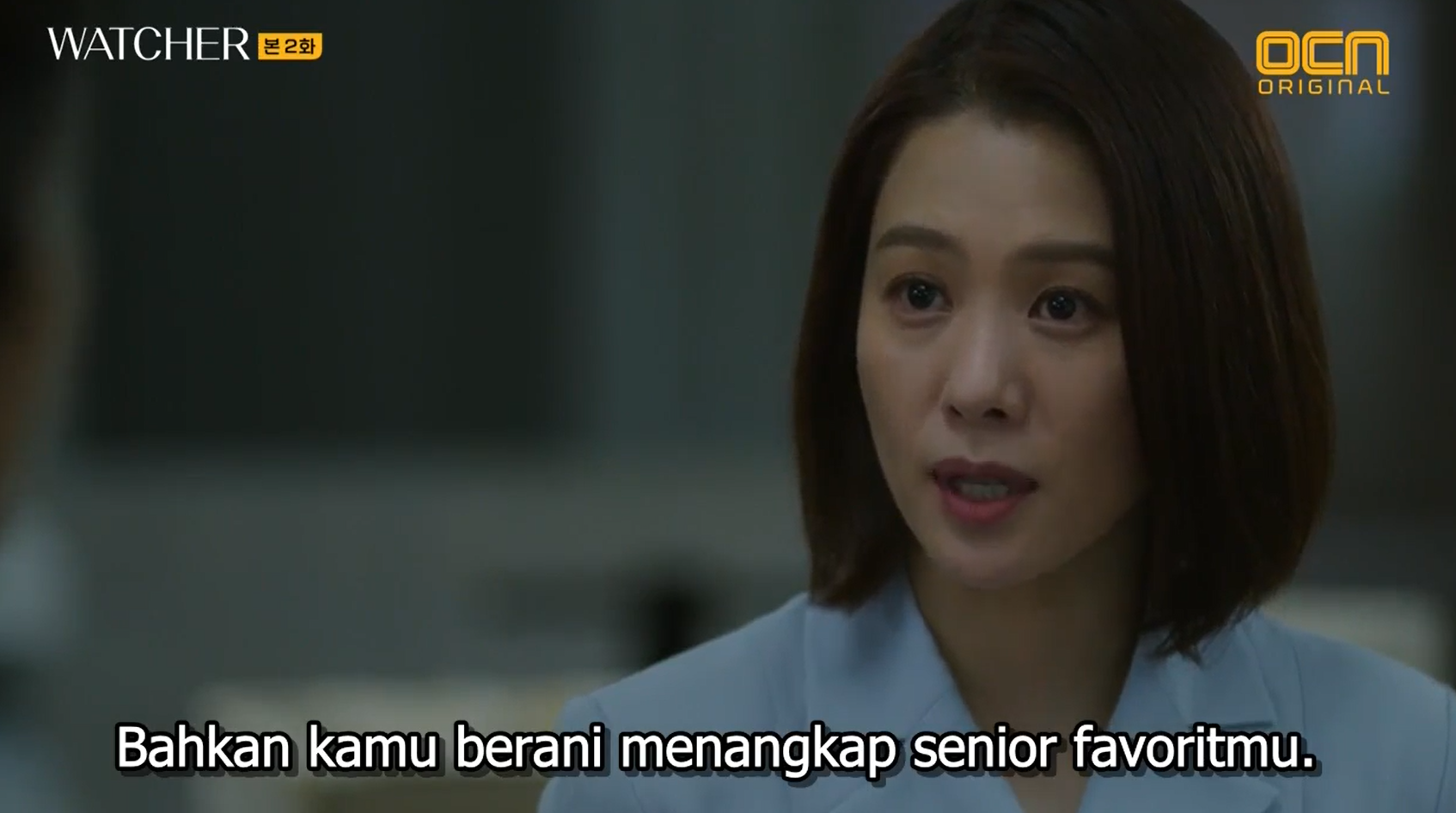 Sinopsis dan Review Drama Korea Watcher (2019) - Diani Opiari